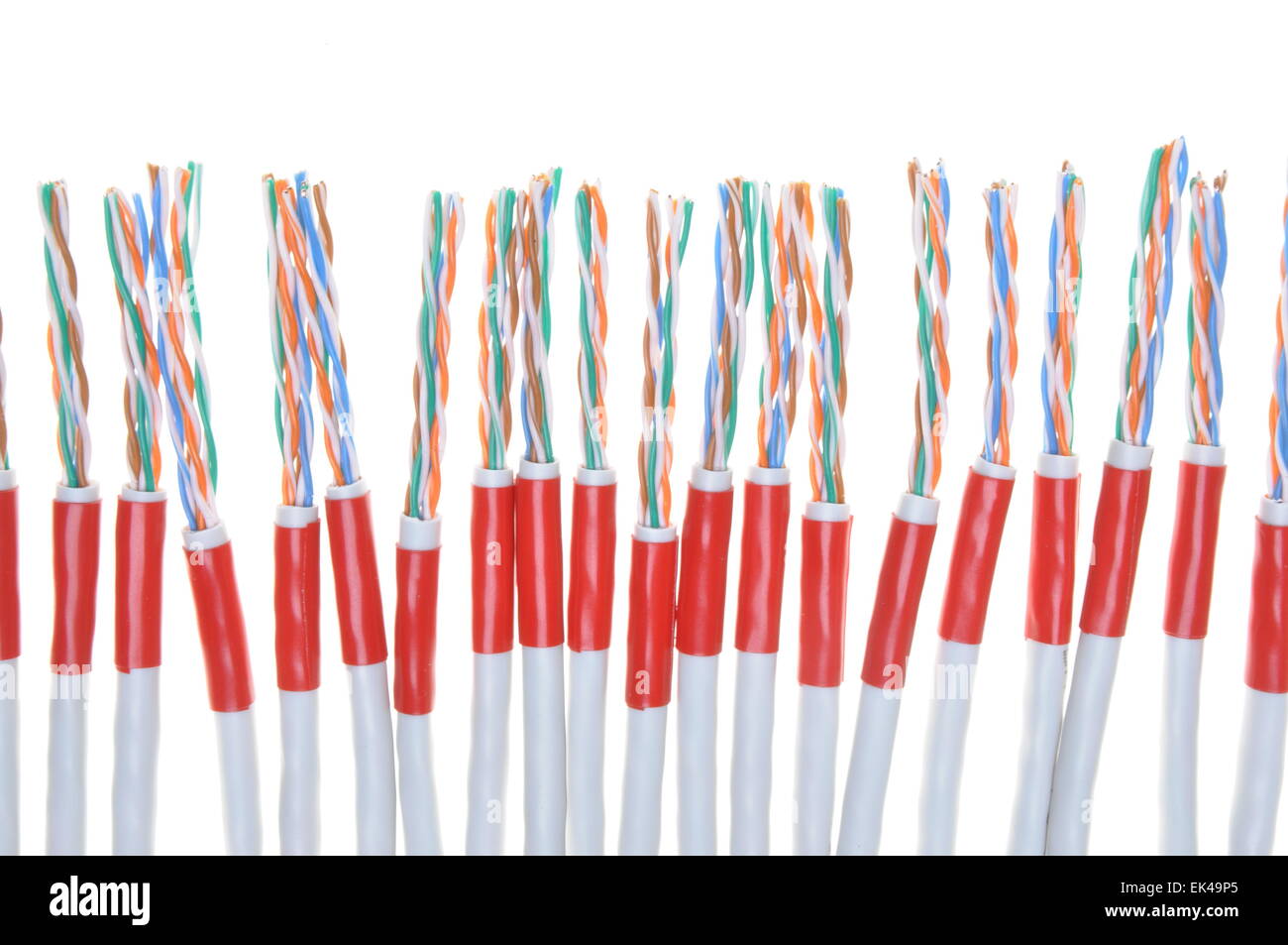 Computer network cables isolated on white background Stock Photo - Alamy