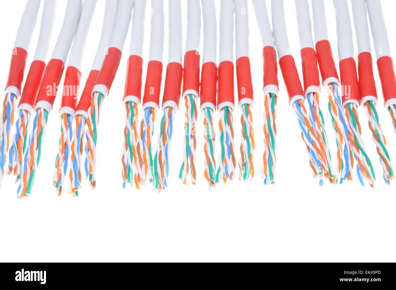 Computer network cables isolated on white background Stock Photo - Alamy