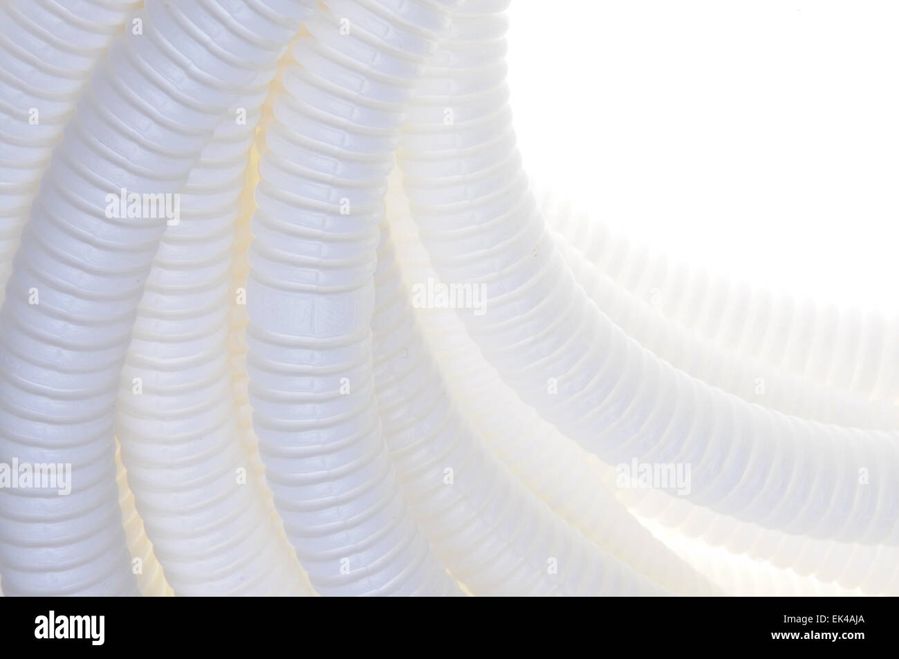 White plastic corrugated pipe isolated on white background Stock Photo ...