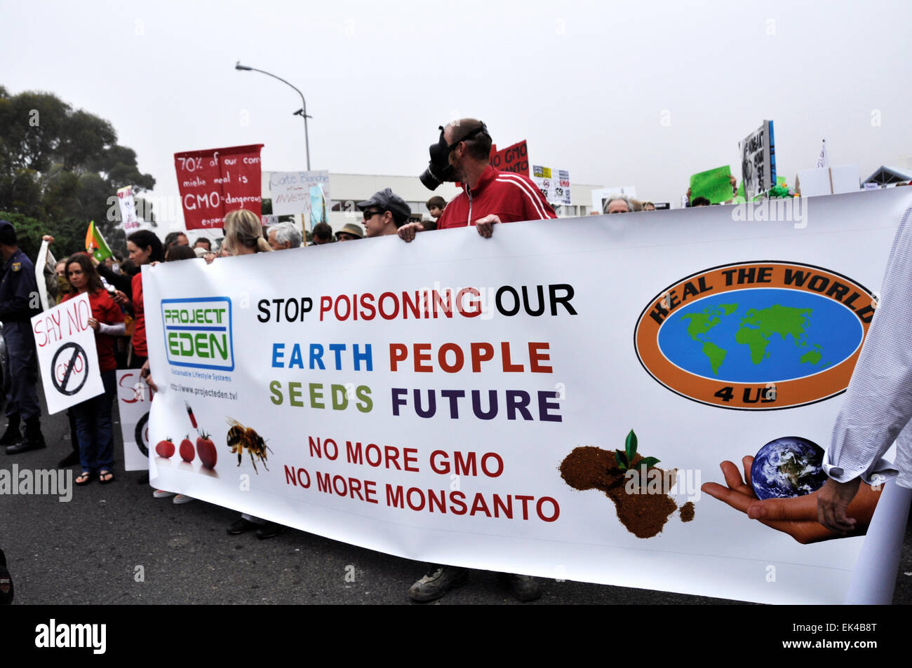 Genetically modified organisms hi-res stock photography and images - Alamy