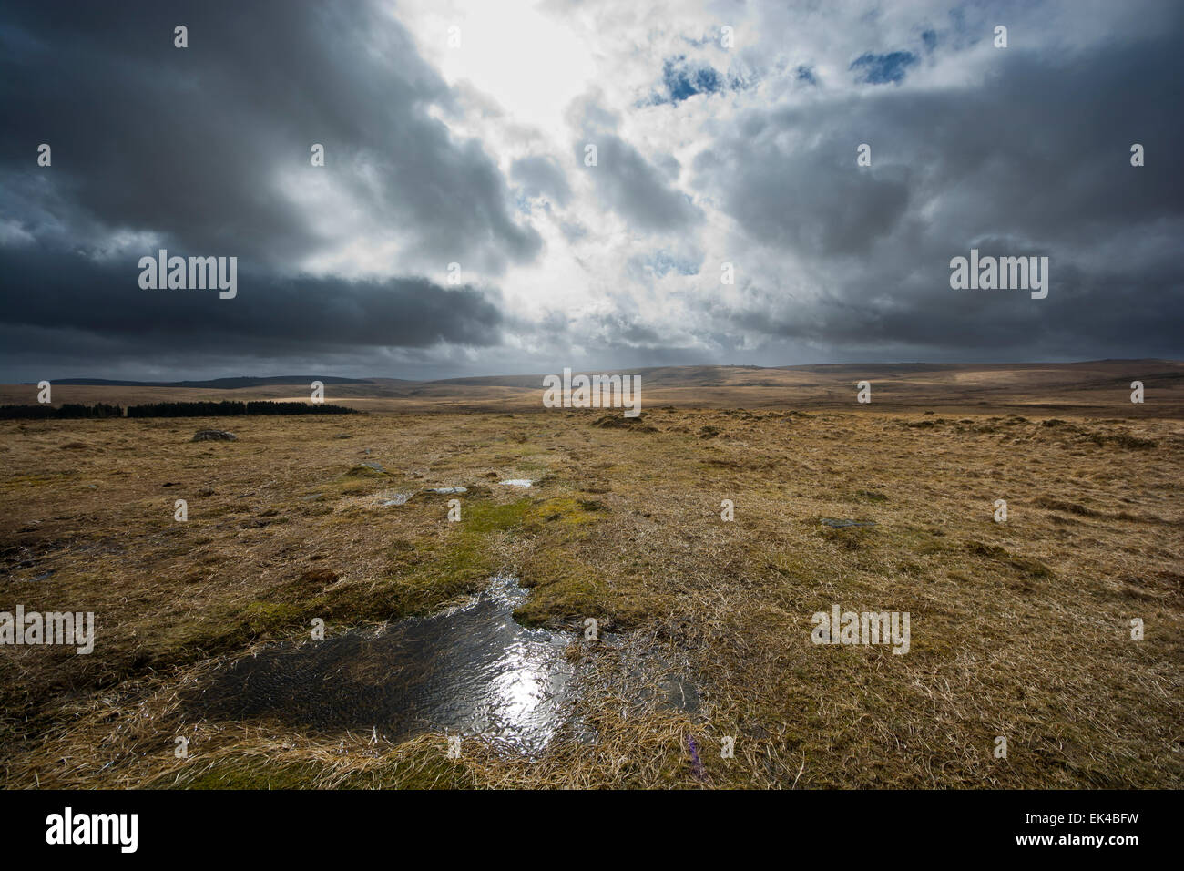 Gidleigh common bleak Stock Photo - Alamy