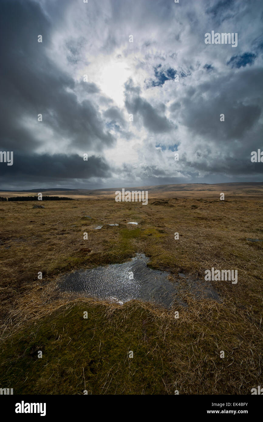Gidleigh hi-res stock photography and images - Alamy