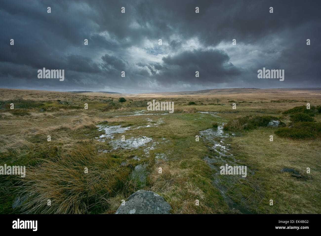 Gidleigh common bleak Dartmoor Stock Photo - Alamy