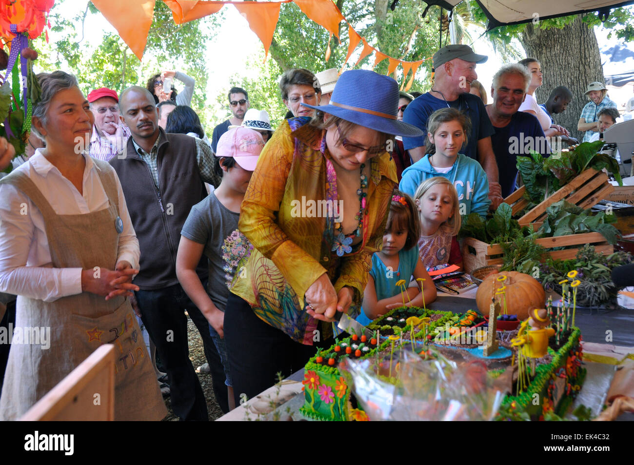 Helen zille parliament hi-res stock photography and images - Alamy