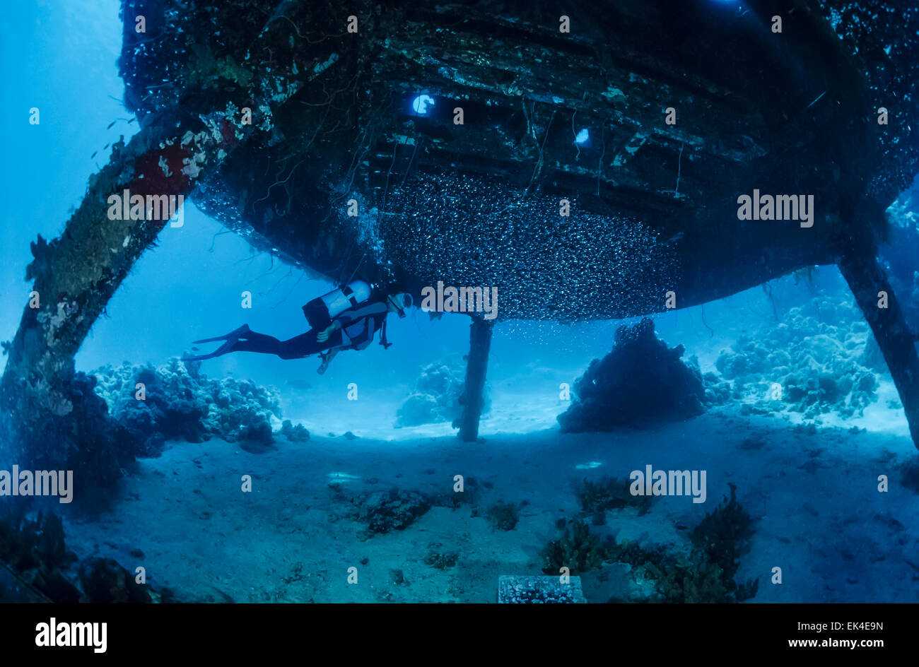 SUDAN, Red Sea, Sha'ab Rumi,U.W. photo, Cousteau Precontinent 2 ...