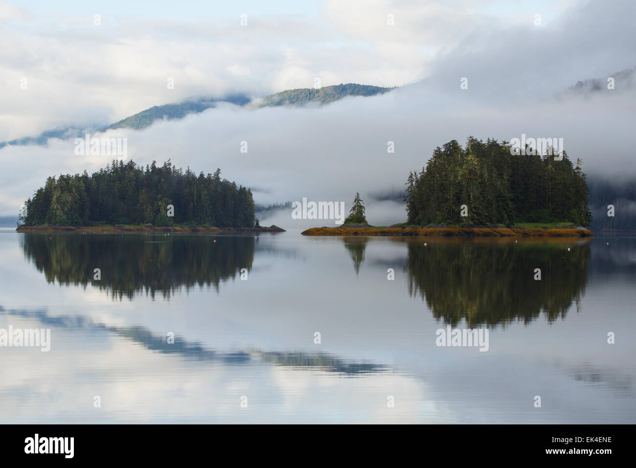 Berg Bay, Tongass National Forest, Alaska Stock Photo - Alamy
