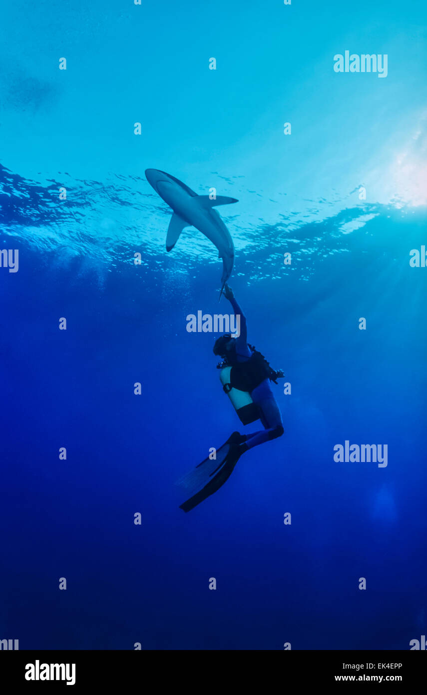 Shaab rumi hi-res stock photography and images - Alamy