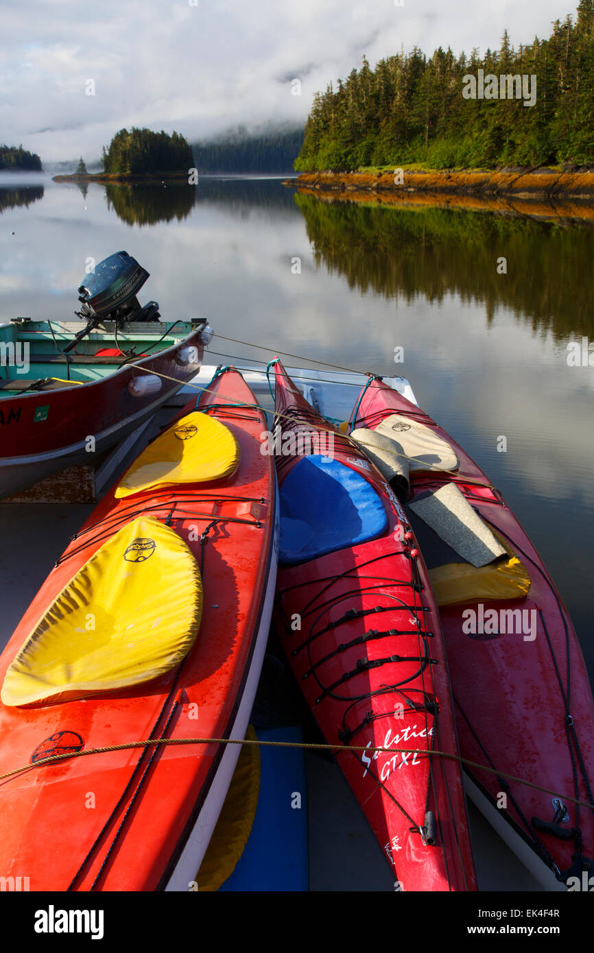 Kayaks in Berg Bay, Tongass National Forest, Alaska Stock Photo - Alamy