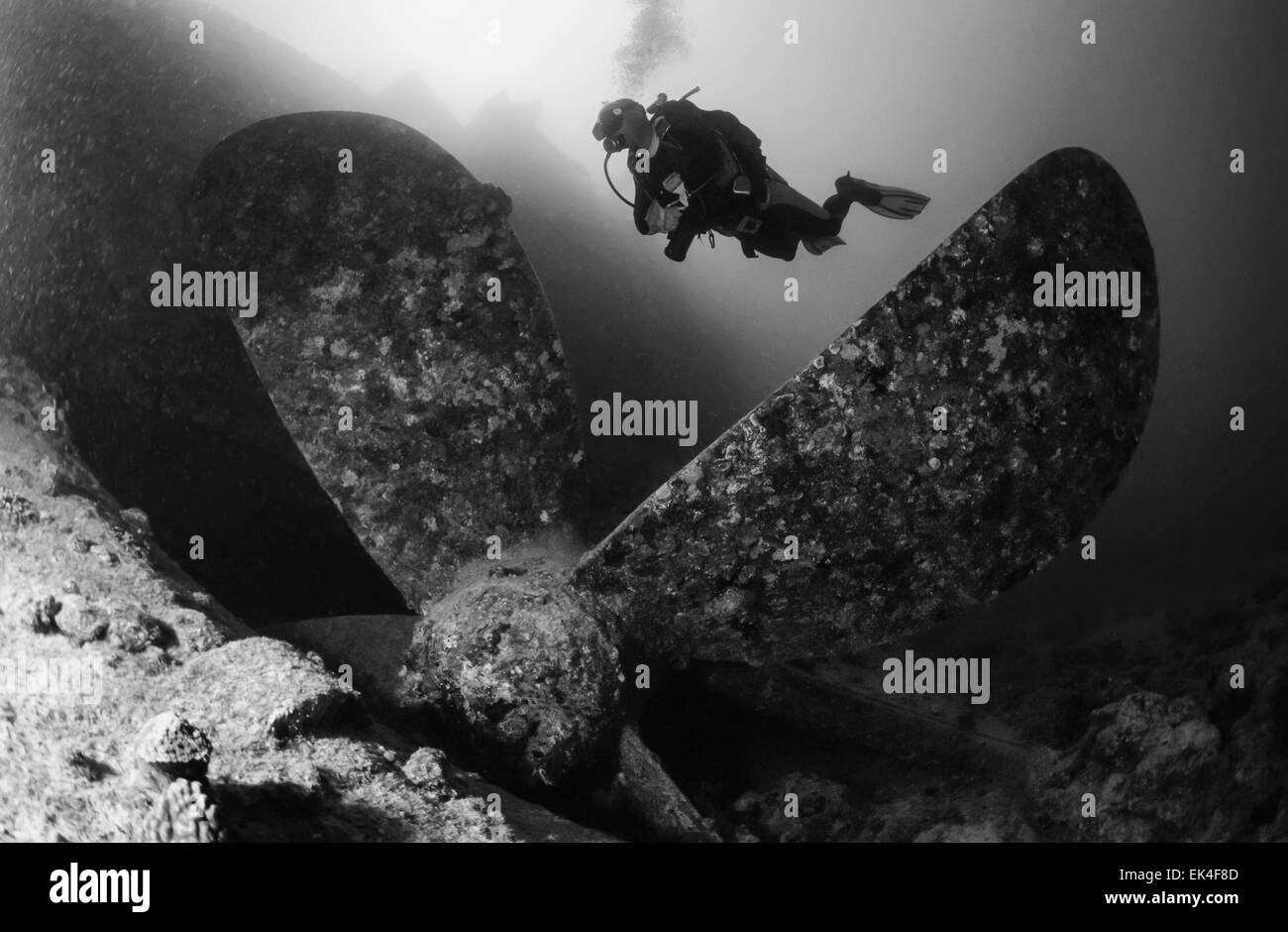 Scuba diver ship propeller stern hi-res stock photography and images ...