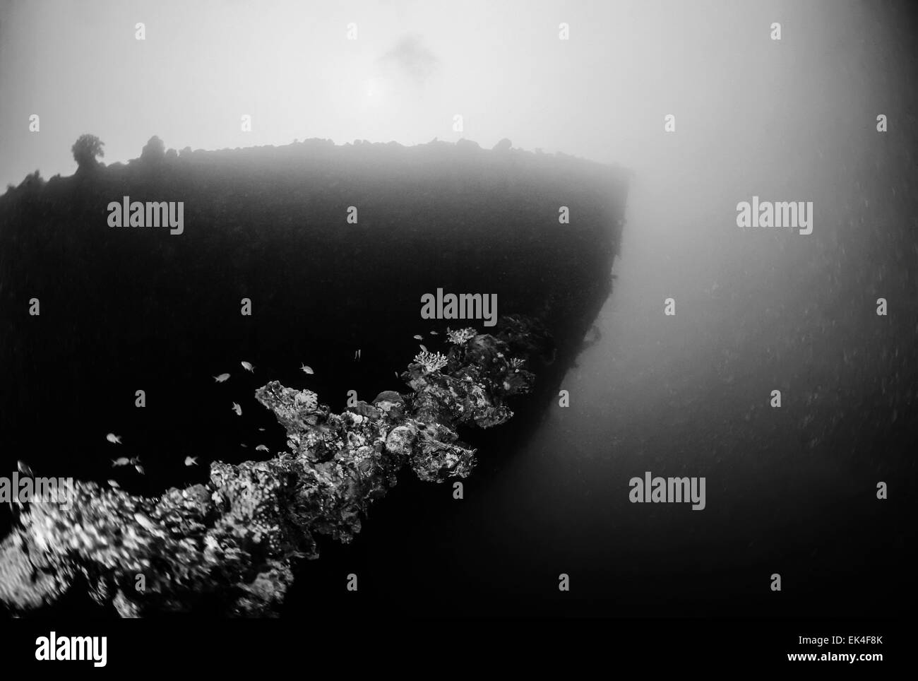 SUDAN, Red Sea, U.W. photo, Umbria wreck, the bow of the sunken ship ...