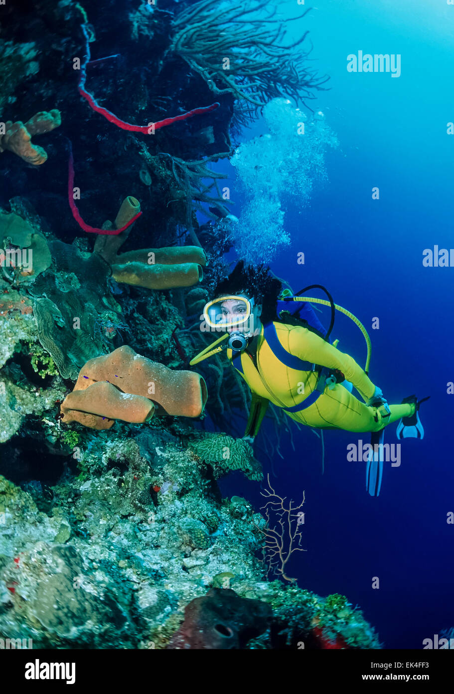 Scuba diver tube sponge hi-res stock photography and images - Alamy