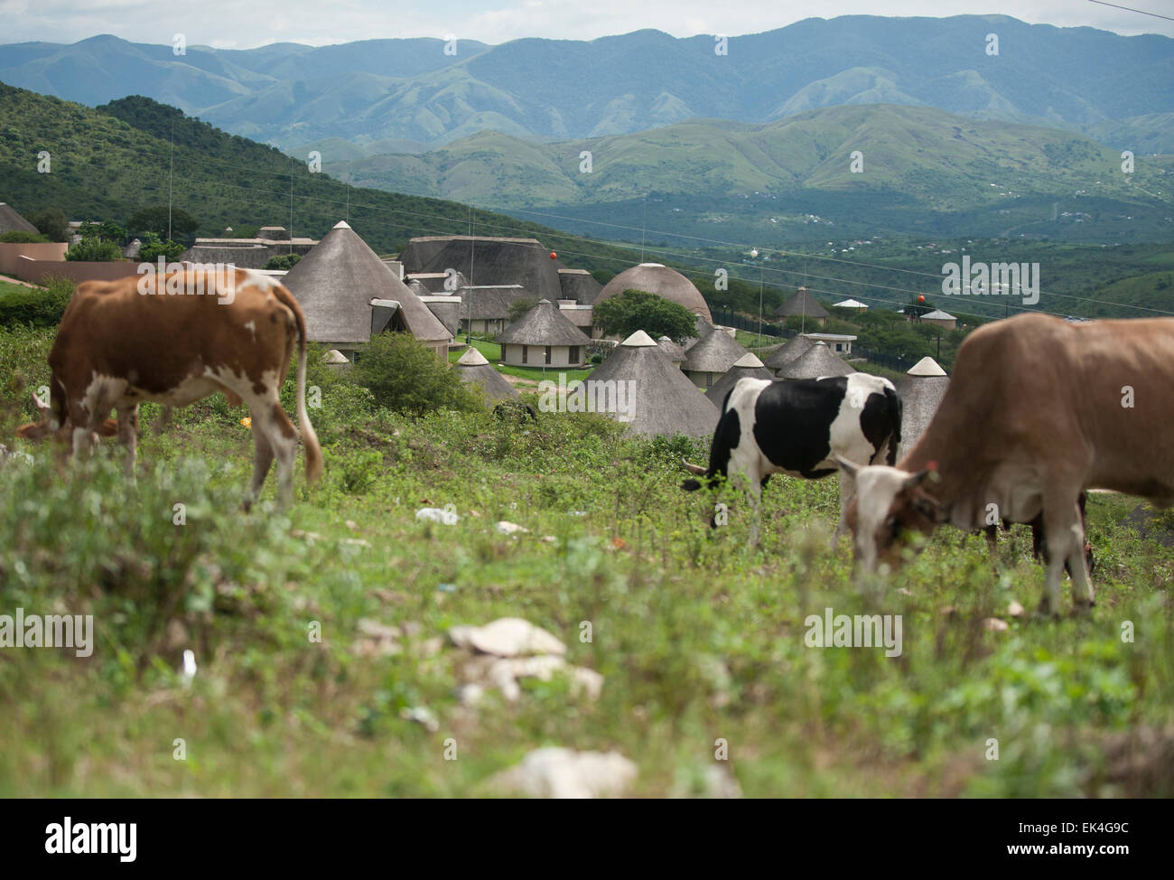 President Zuma's homestead, Nkandla, KZN Stock Photo - Alamy
