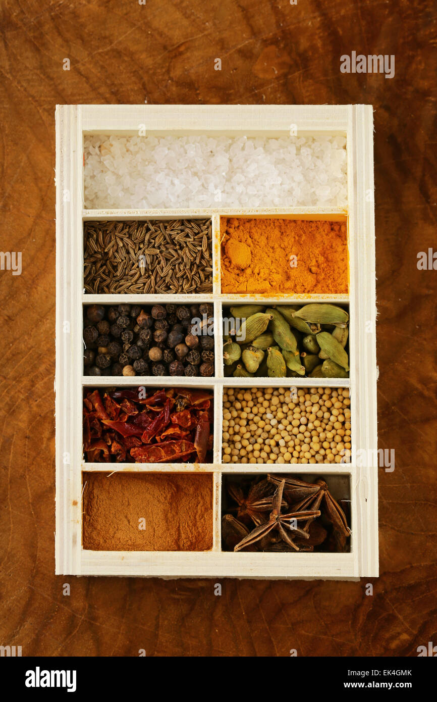 set of different spices (pepper, salt, turmeric, bay leaves, chili ...