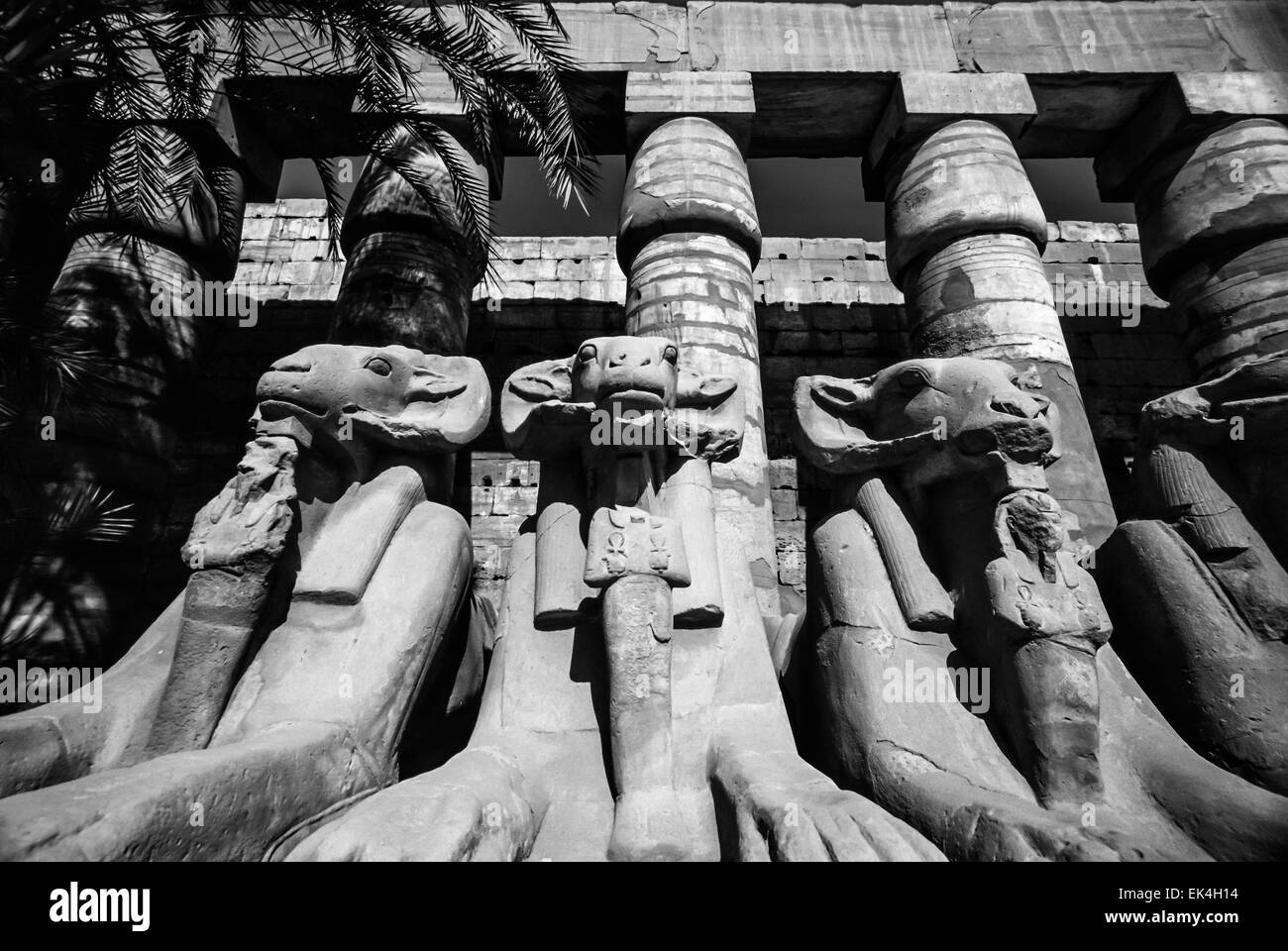 Egypt, Luxor, Karnak Temple ruins - FILM SCAN Stock Photo - Alamy