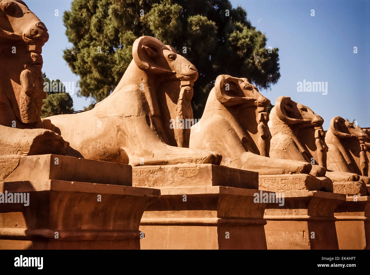 Egypt, Luxor, Karnak Temple ruins - FILM SCAN Stock Photo - Alamy