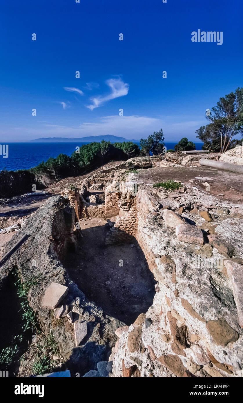 Tuscany, Giannutri Island High Resolution Stock Photography and Images ...