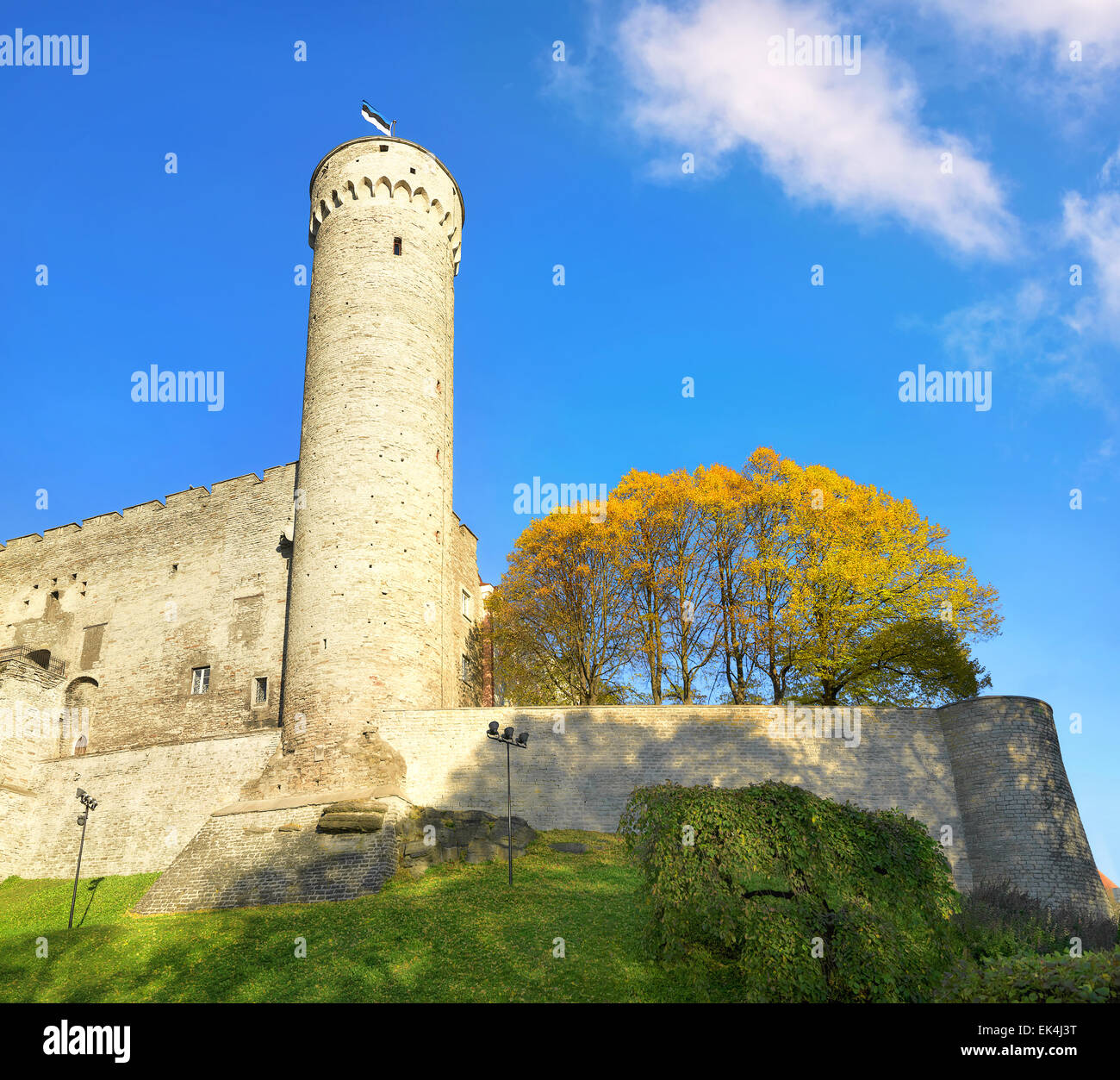 View tall hermann tower hi-res stock photography and images - Alamy