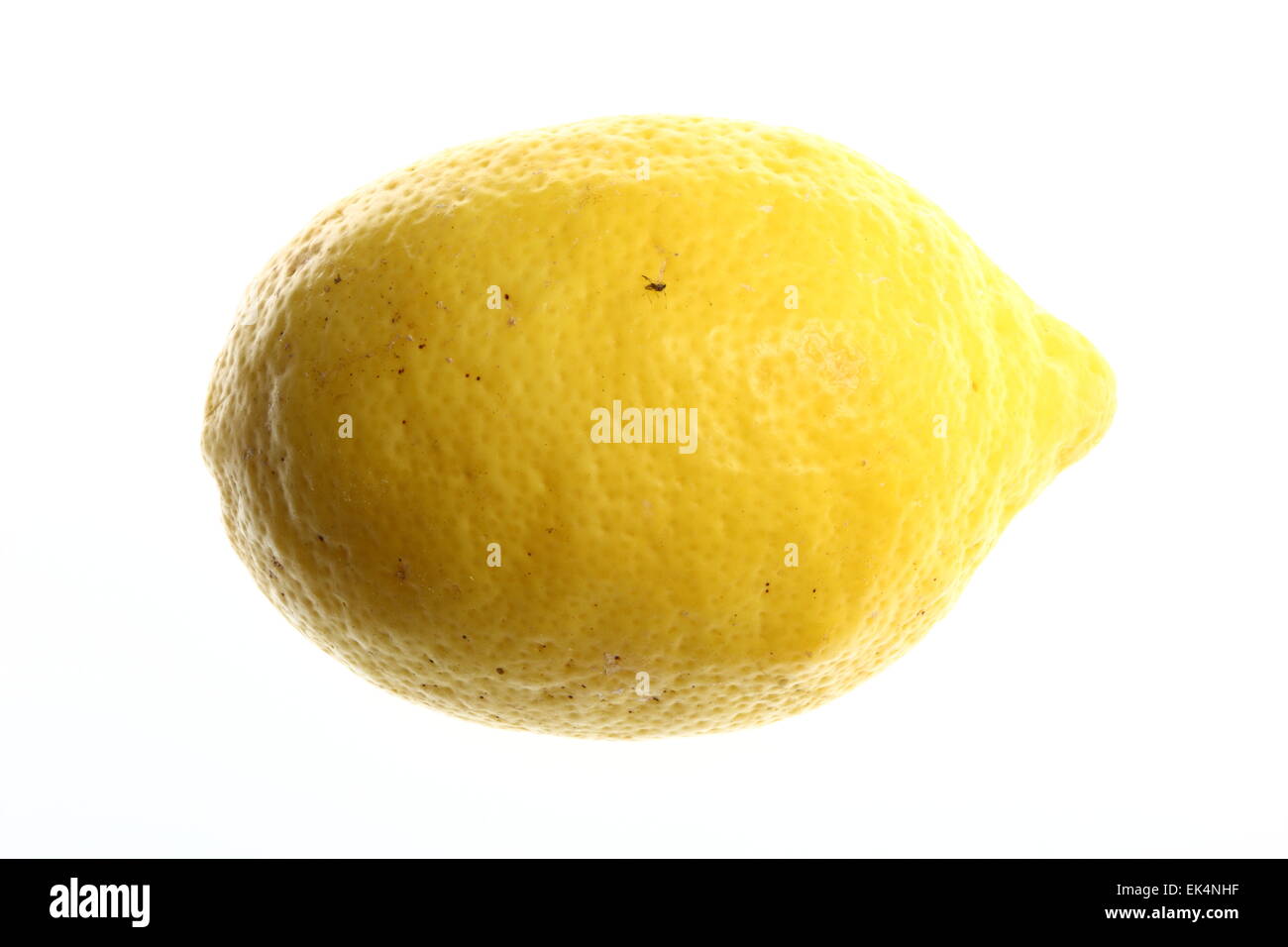 Indoor lemon plant in hi-res stock photography and images - Alamy