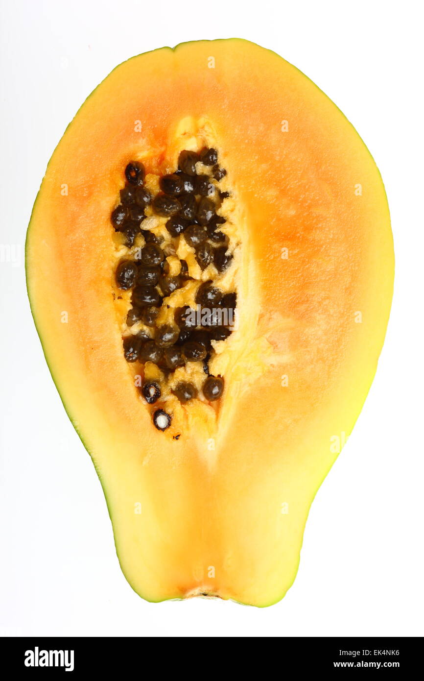Longitudinal slice hi-res stock photography and images - Alamy