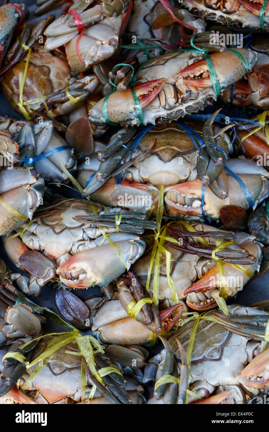 Thailand, Koh Samui (Samui Island), tropical crabs for sale in a local fish market Stock Photo ...