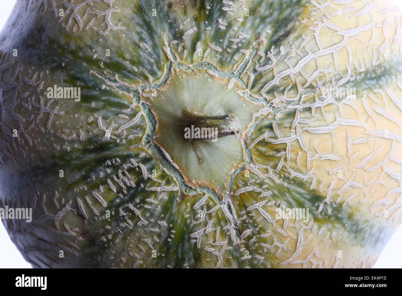 Tropical fruits, exotic fruits, watermelon, Citrullus lanatus Stock ...