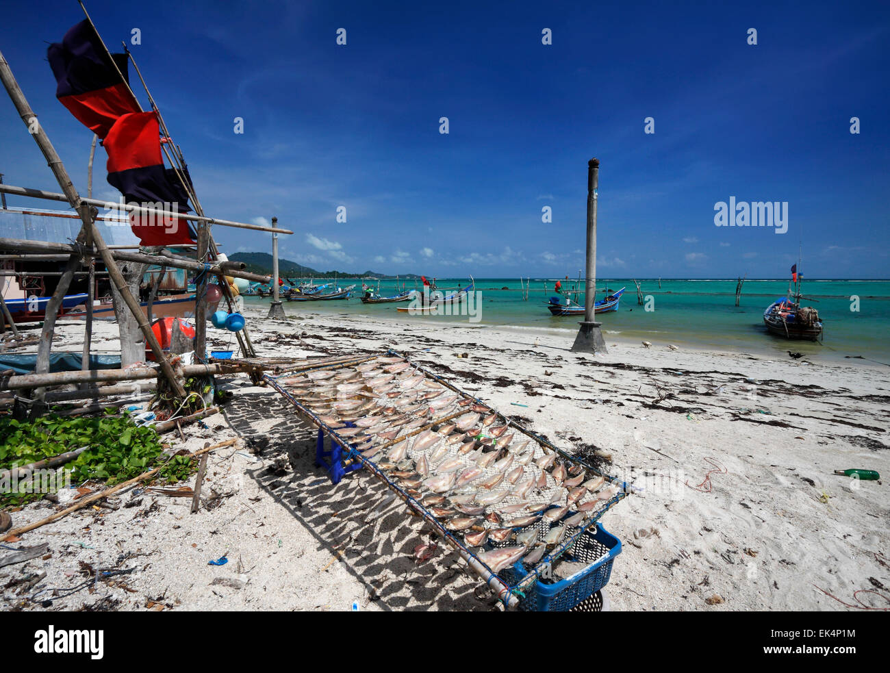 Thailand, Koh Samui (Samui Island), local fishing boats and fish drying ...