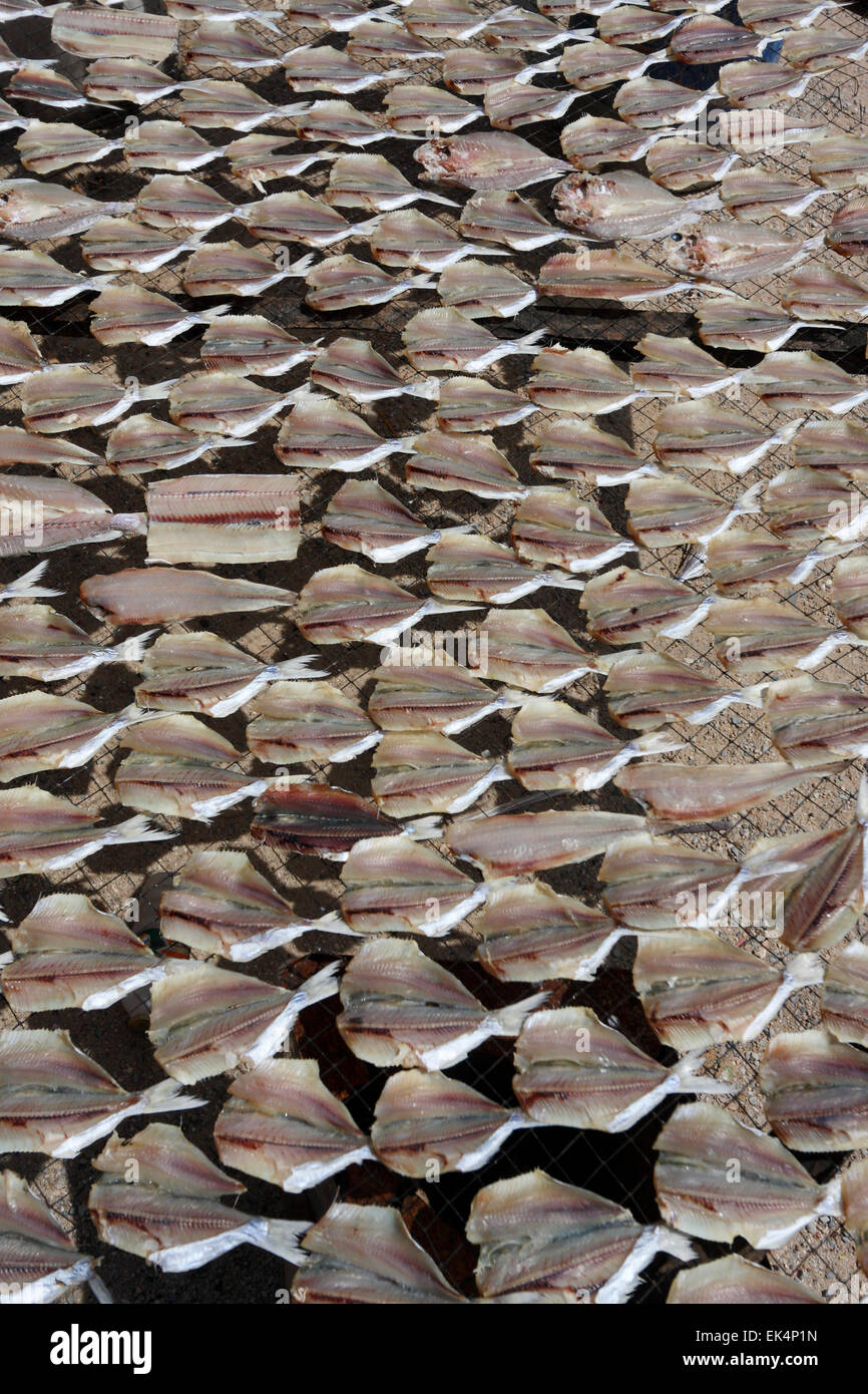 Thailand, Koh Samui, fish drying with the sun Stock Photo - Alamy