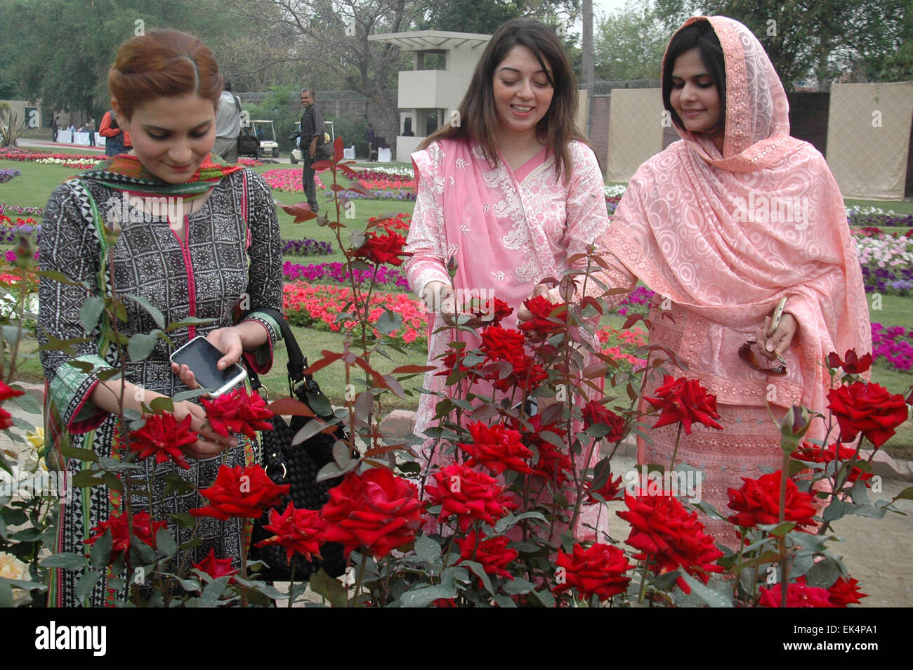 Pakistan blossom hi-res stock photography and images - Alamy