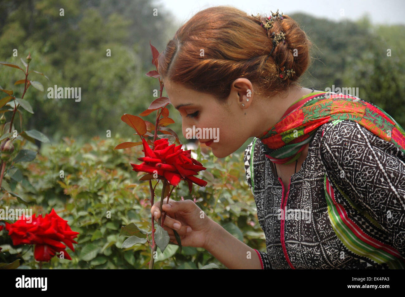 Lahore. 7th Apr, 2015. A visitor smells a flower at a spring flower ...