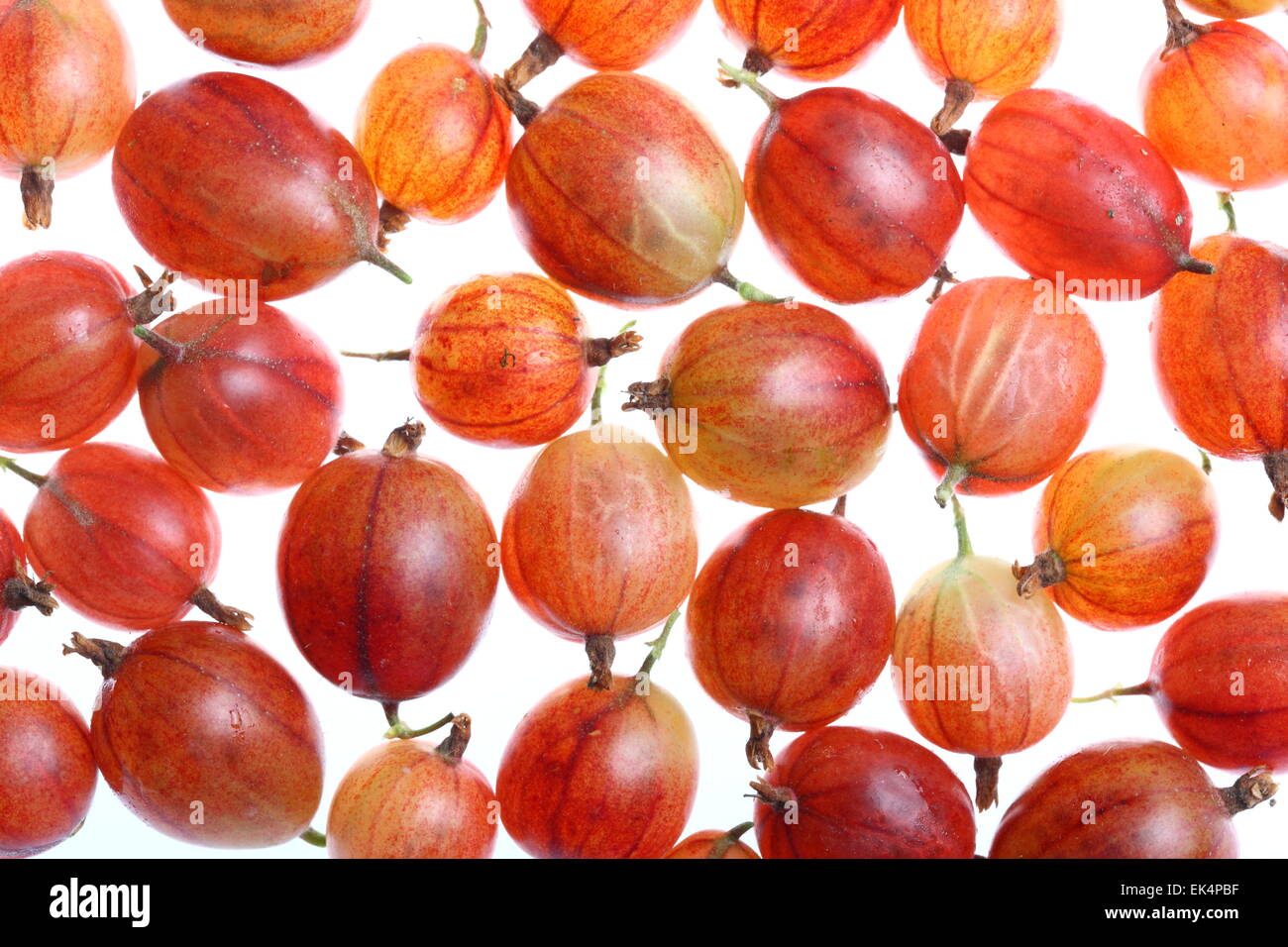 Tropical fruit, gooseberry Stock Photo - Alamy