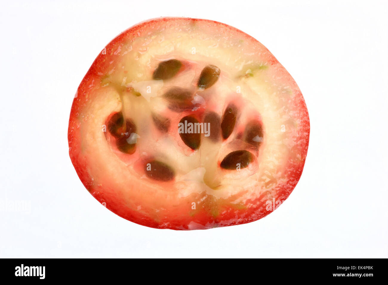 Detailed close up gooseberry hi-res stock photography and images - Alamy
