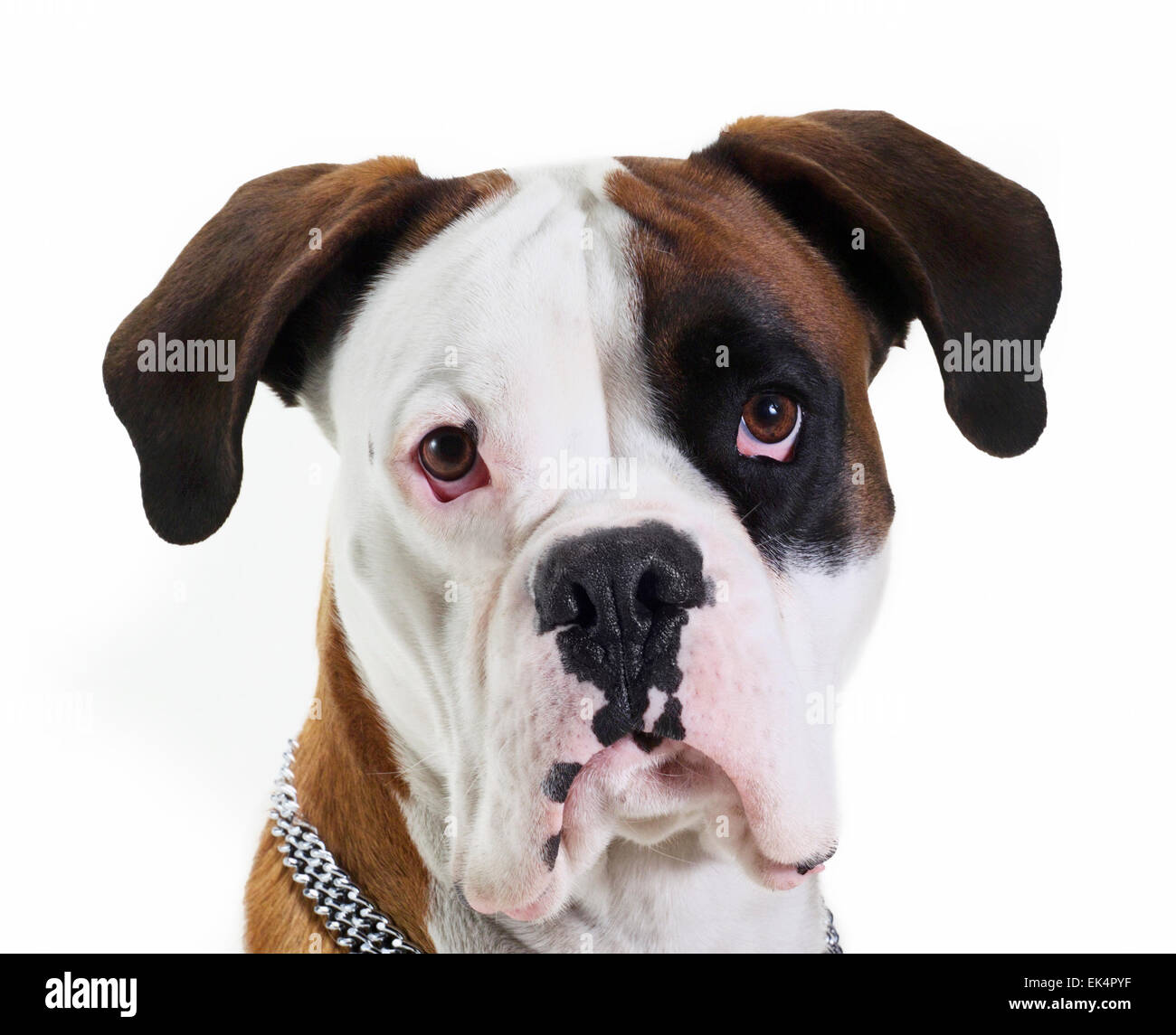 Joker out italy hi-res stock photography and images - Alamy