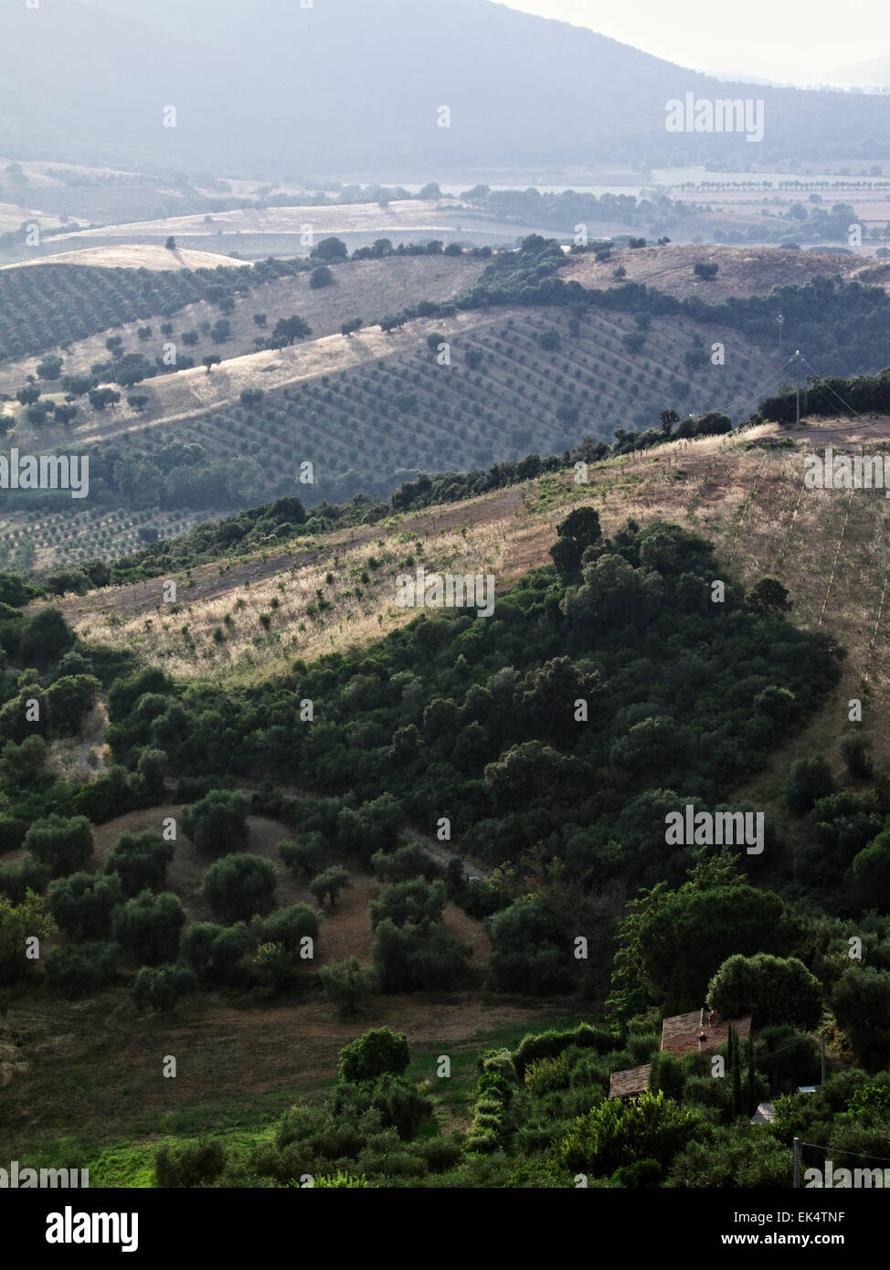 italy, tuscany, countryside and wineyards seen from Capalbio (Grosseto ...