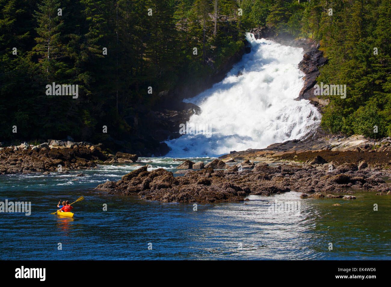 Kayaking in Warm Springs Bay, Baranof Island, Tongass National Forest ...
