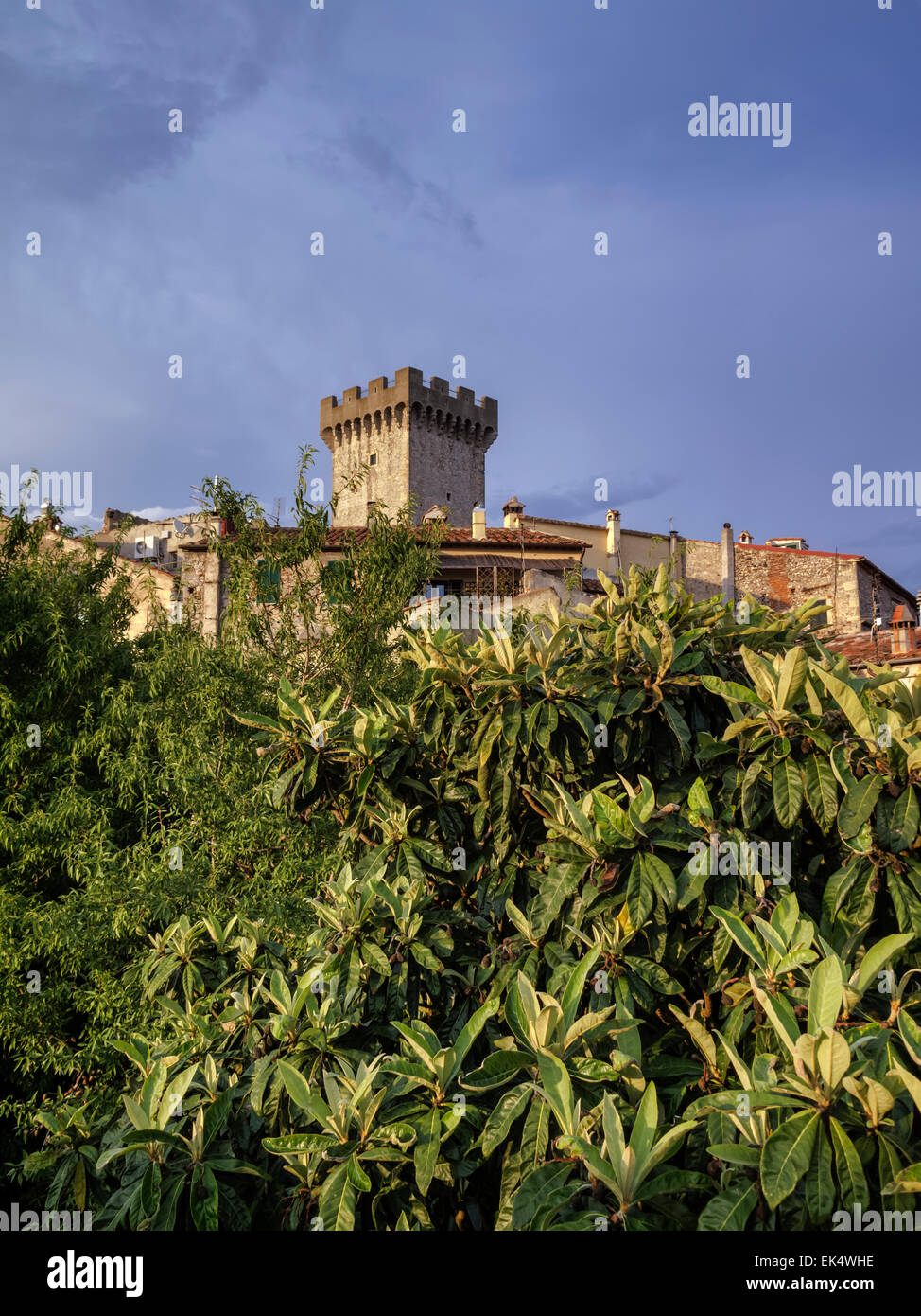 italy, tuscany, Capalbio (Grosseto Province), medieval tower Stock ...