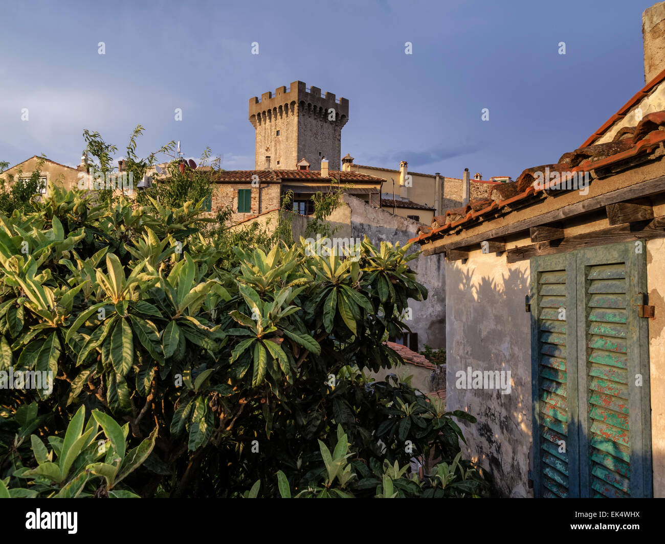italy, tuscany, Capalbio (Grosseto Province), medieval tower Stock ...
