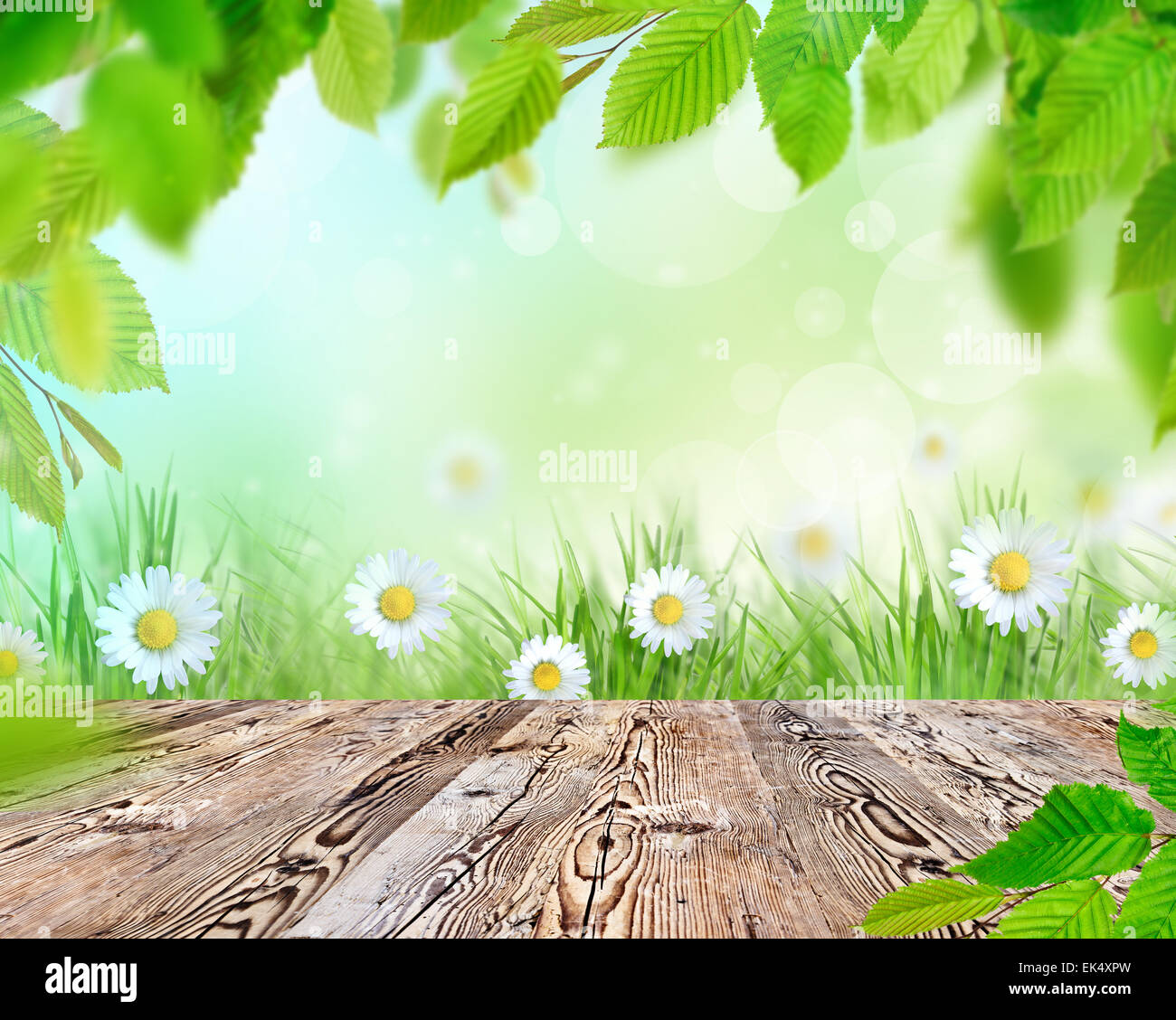 Fresh green grass with wooden desk Stock Photo - Alamy
