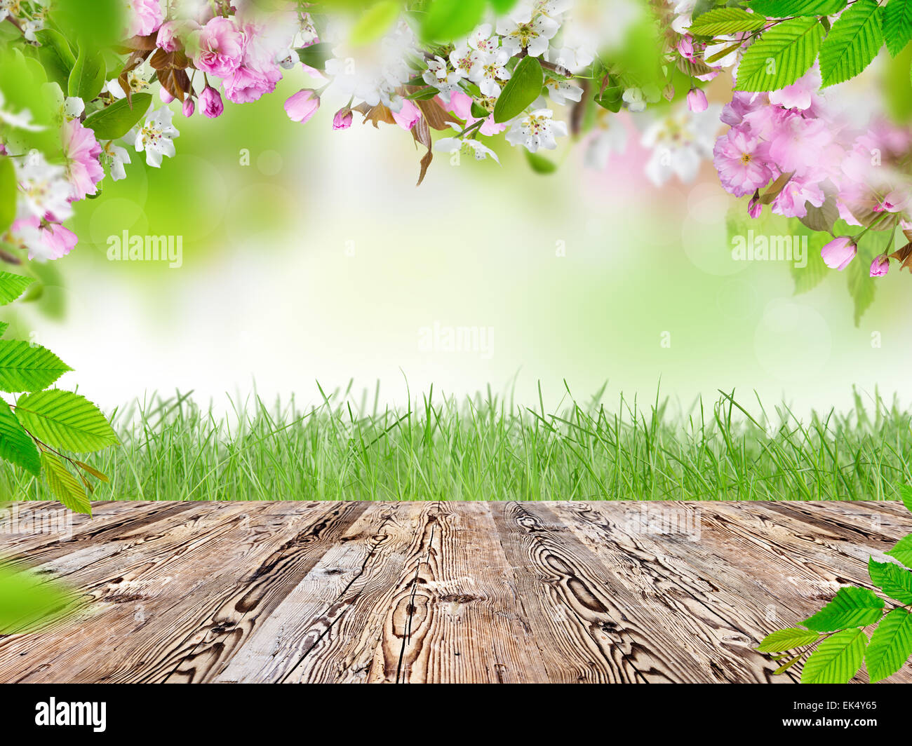 Fresh green grass with wooden desk Stock Photo - Alamy
