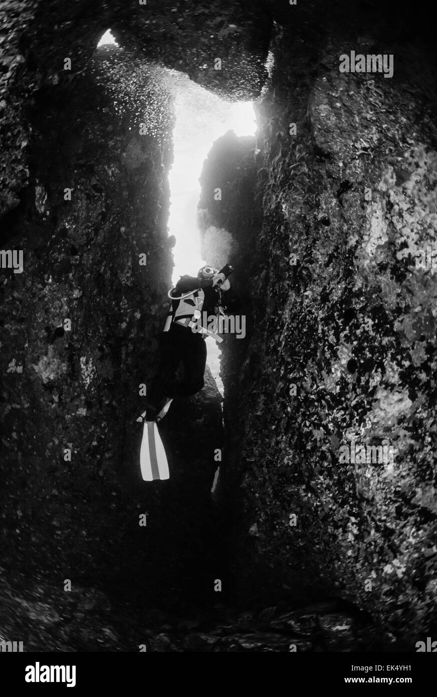 Italy, Ponza Island, Tyrrhenian sea, U.W. photo, cave diving, scuba ...