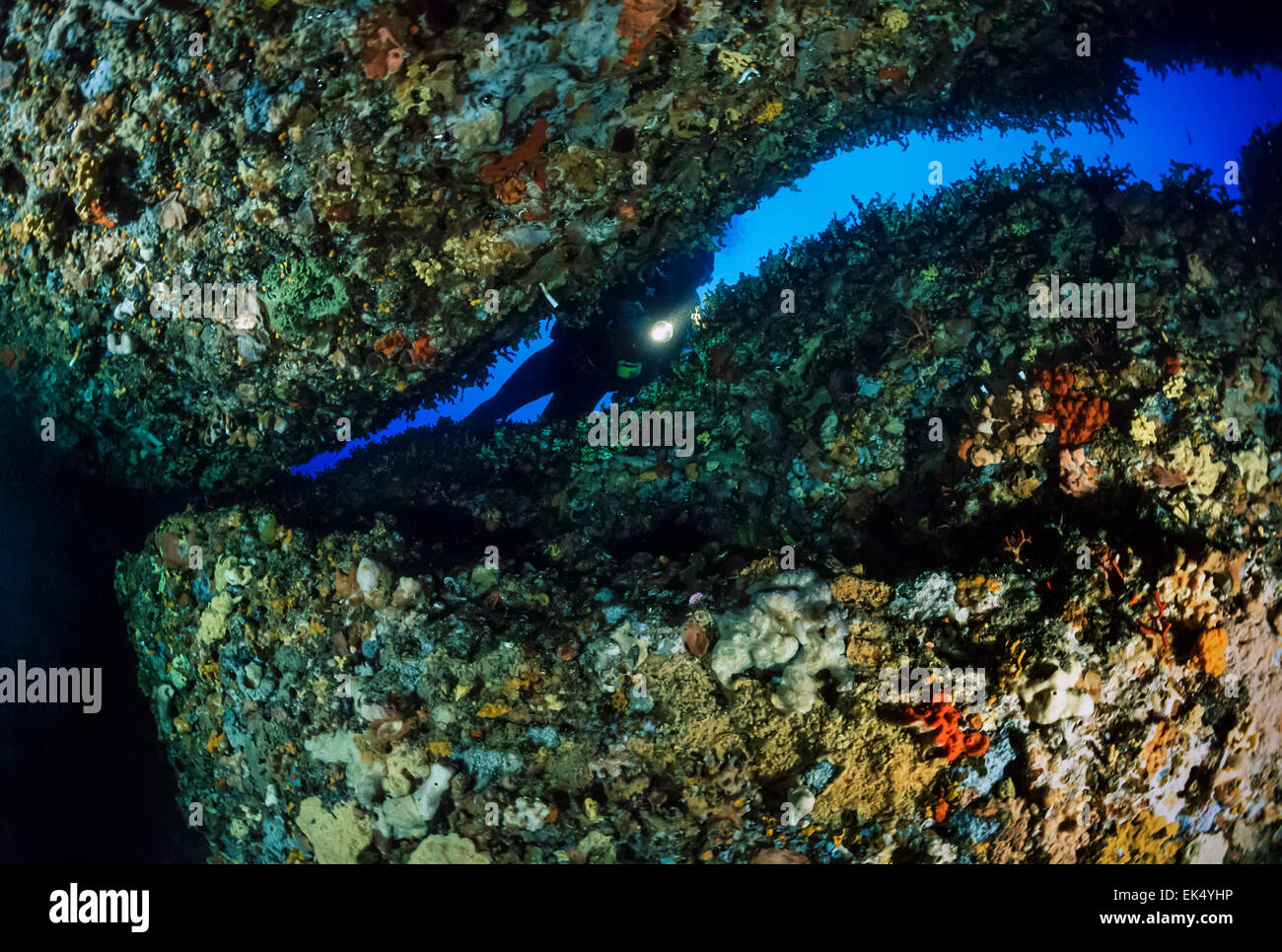 Italy, Ponza Island, Tyrrhenian sea, U.W. photo, cave diving, scuba ...