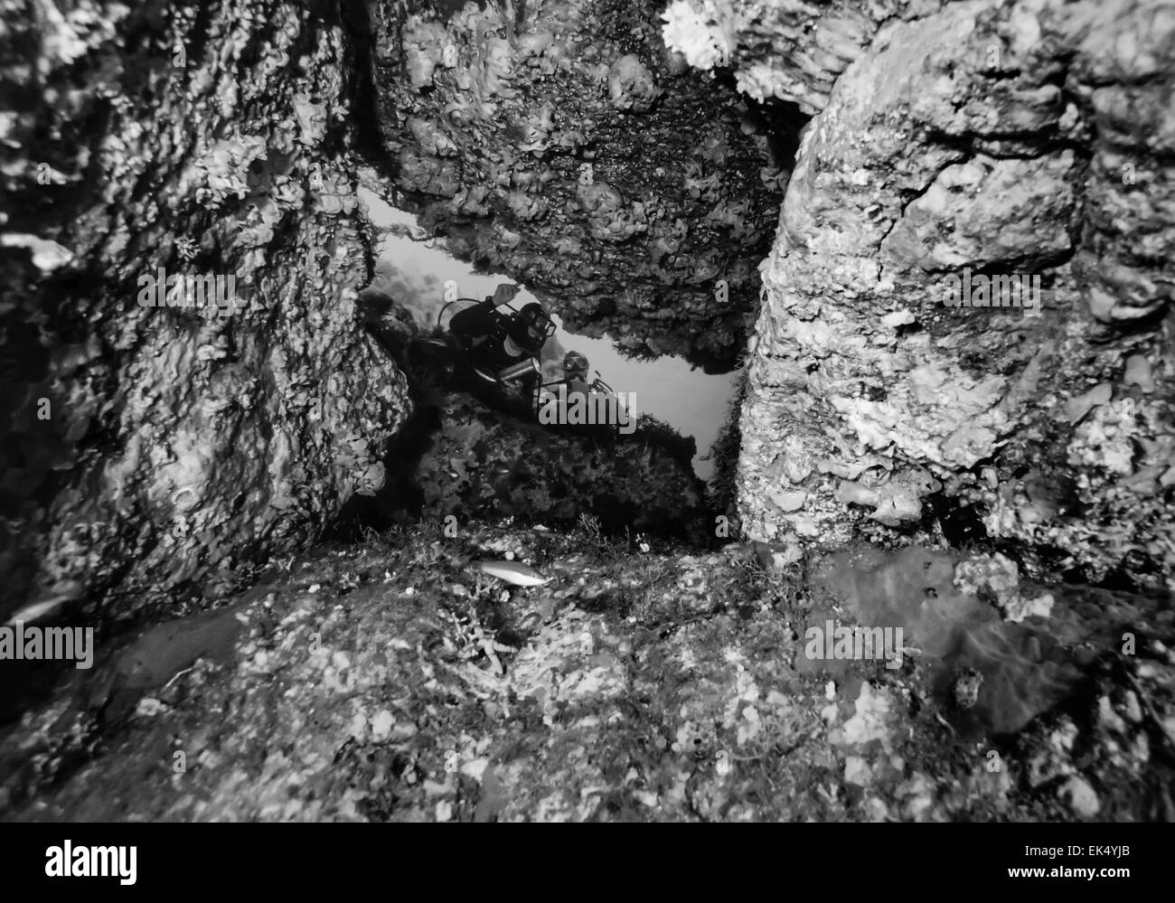 Italy, Ponza Island, Tyrrhenian sea, U.W. photo, cave diving, scuba ...