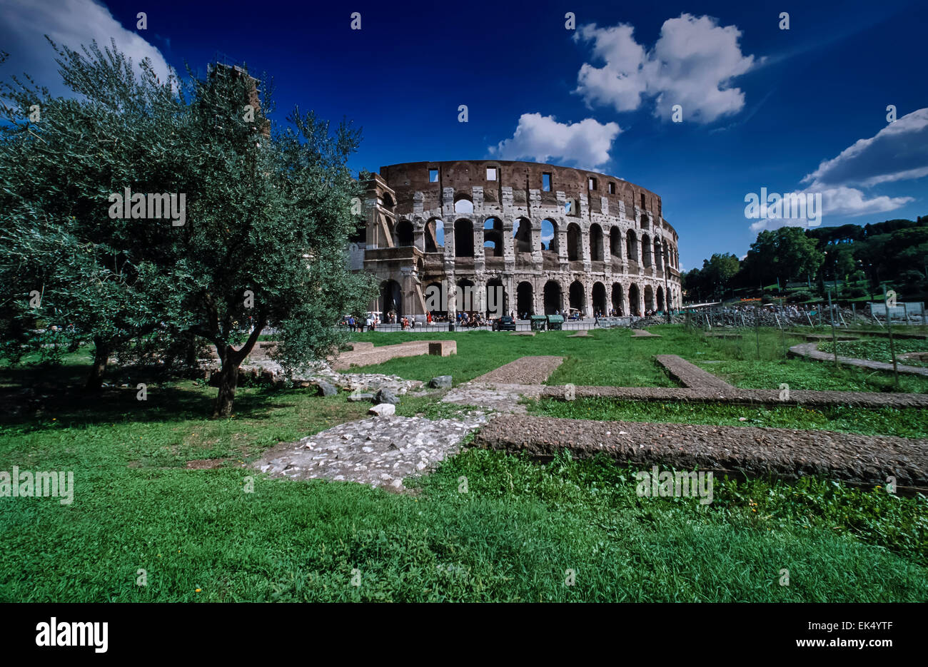 Italy, Lazio, Rome, view of the Roman Colosseum (Flavian Amphitheatre ...