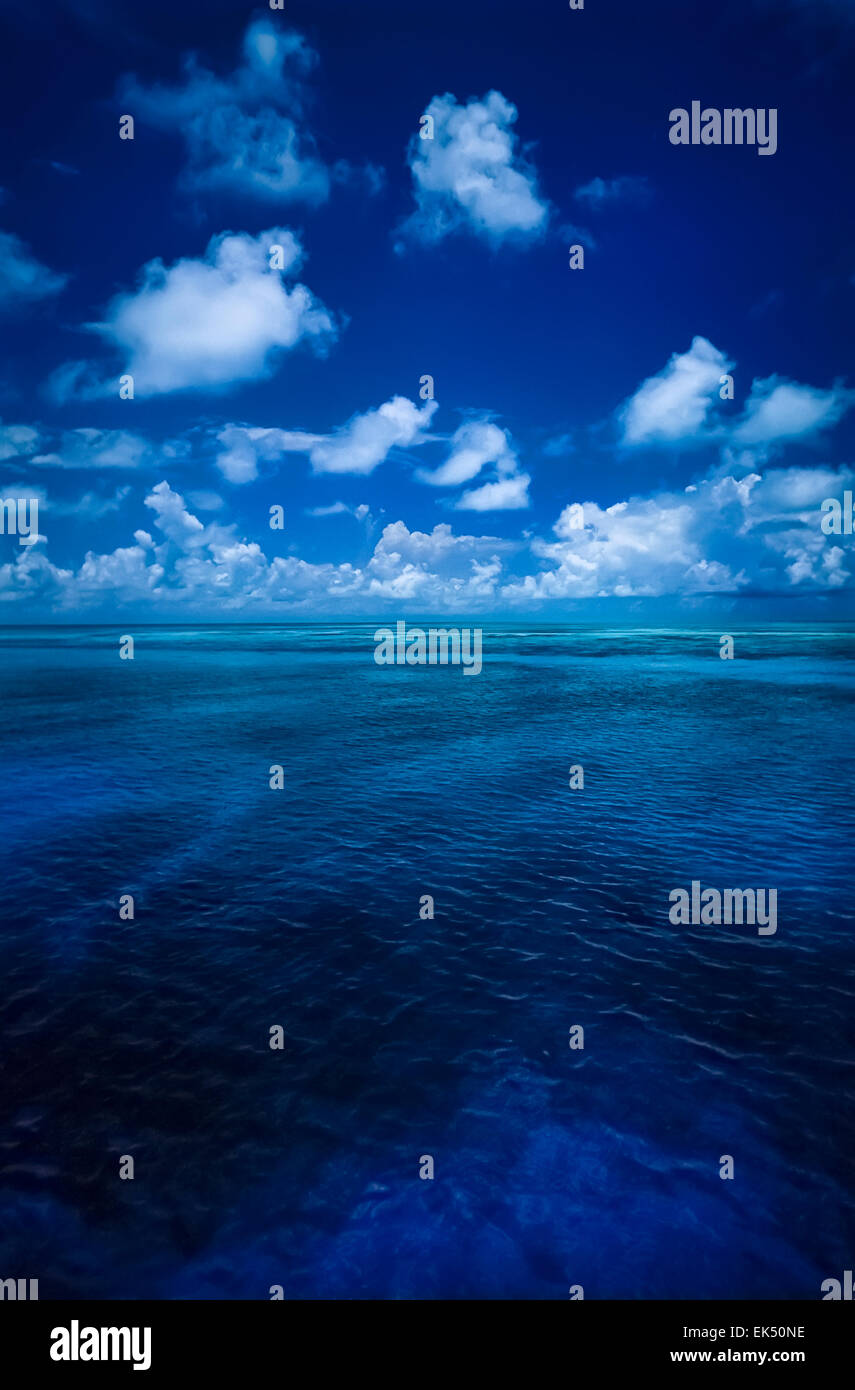 Caribbean islands, Belize, coral reef - FILM SCAN Stock Photo - Alamy