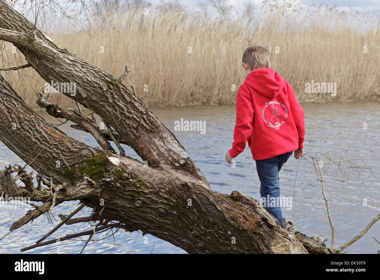 young boy on a tree Stock Photo - Alamy
