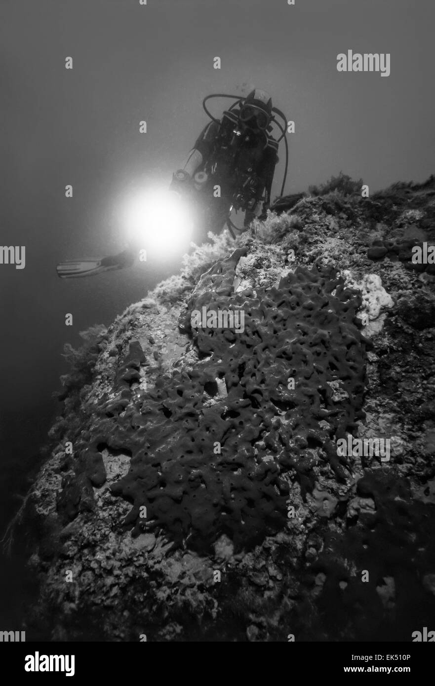 Italy, Mediterranean Sea, U.W. photo, diver and a big sponge - FILM ...