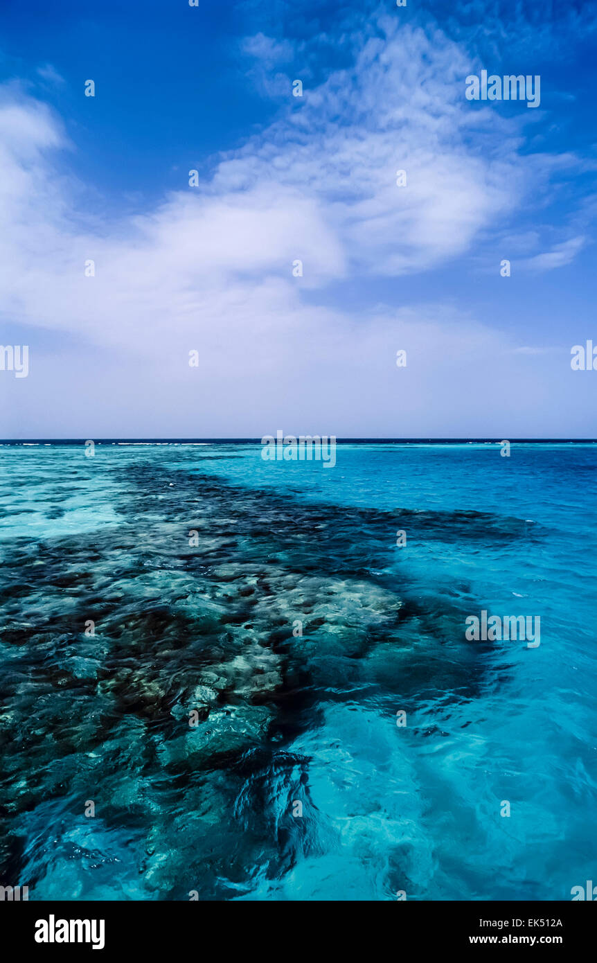 SUDAN, Red Sea, Shaab Suadi Reef, view of the huge coral reef - FILM ...