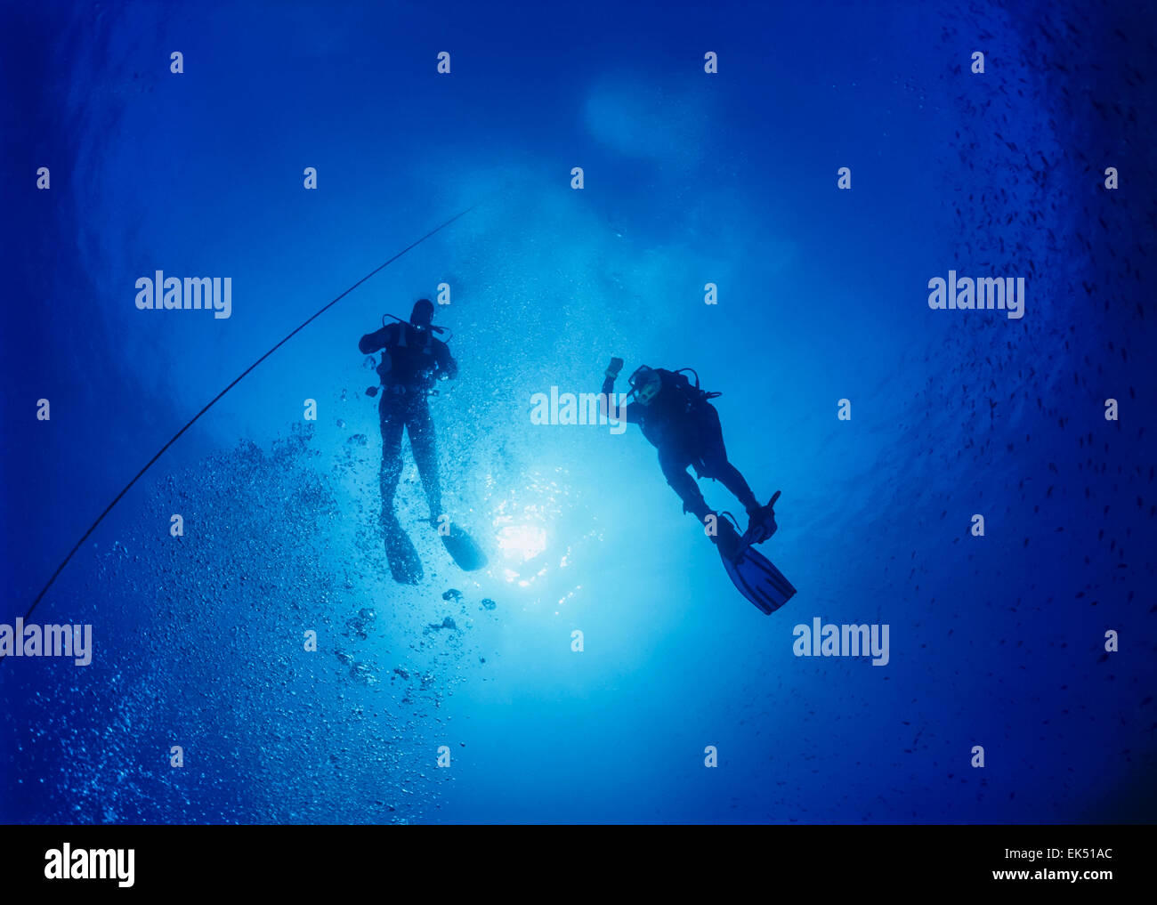 Deep sea diver deepest hi-res stock photography and images - Alamy