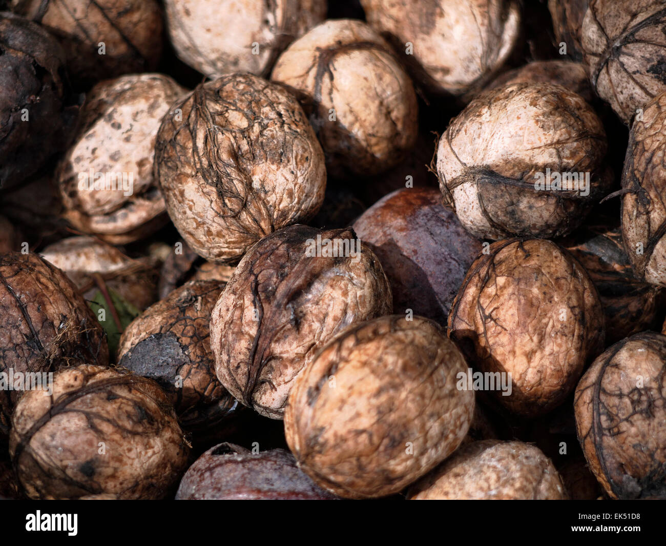 Italy, Sicily, fresh nuts Stock Photo - Alamy