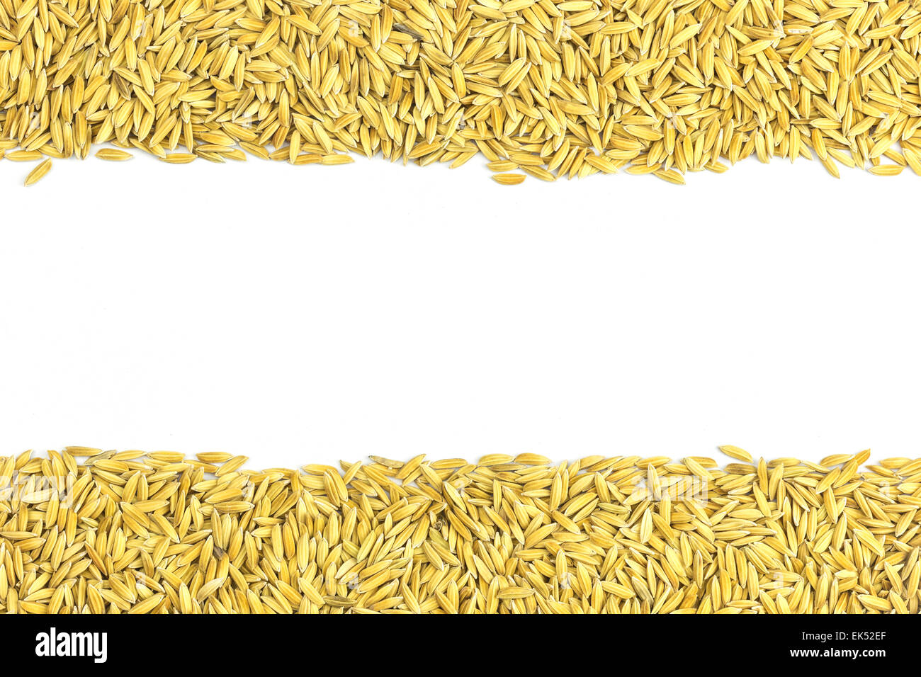 Yellow paddy jasmine rice isolated on white background Stock Photo - Alamy