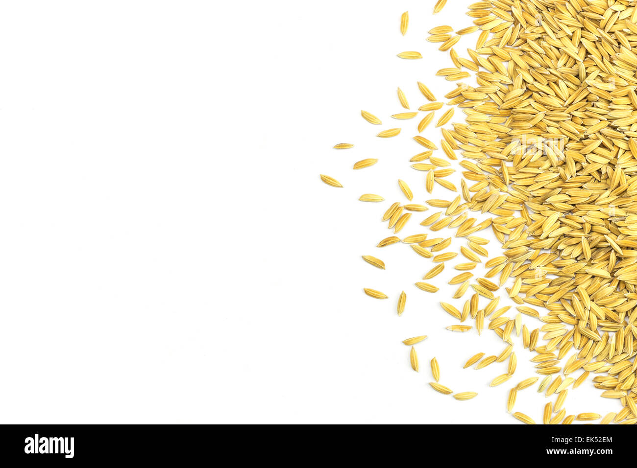 Yellow paddy jasmine rice isolated on white background Stock Photo - Alamy